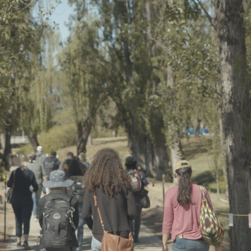 Decolonising possibilities: the path to advancing trans-Indigenous ...