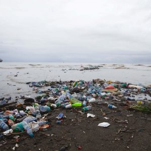Under Siege: Plastic Pollution Threatens Solomon Islands marine life