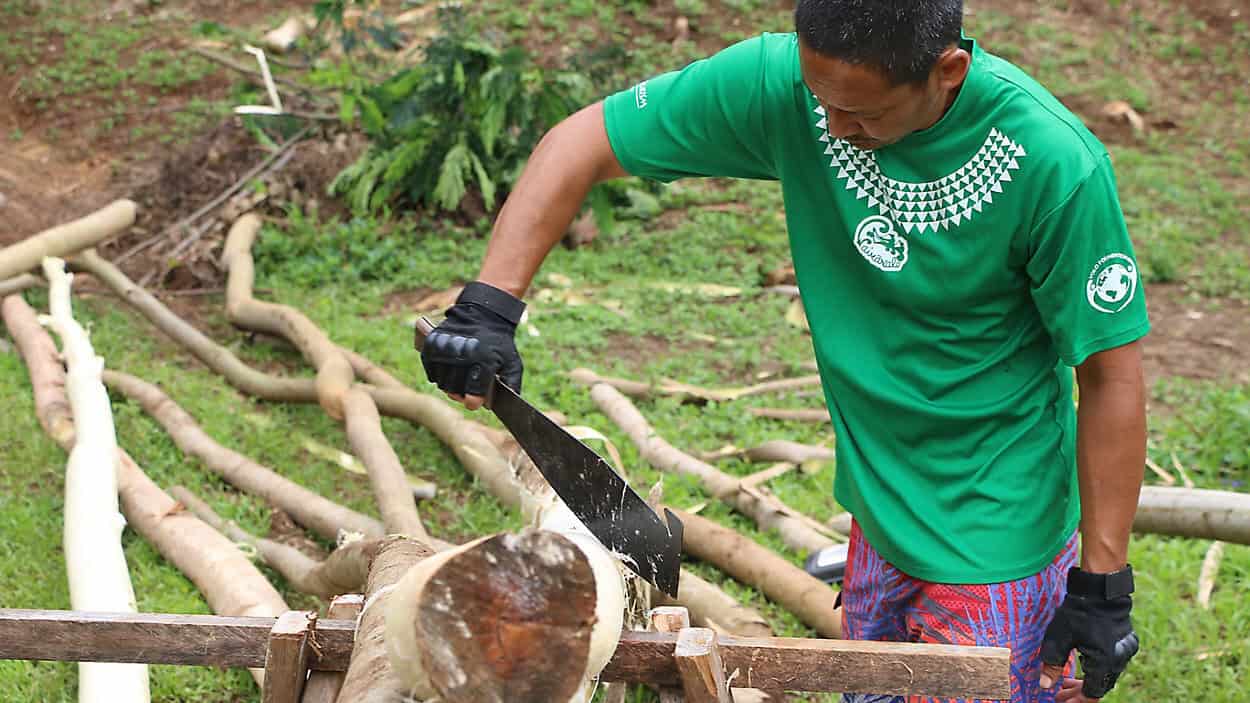 More than 1,000 invasive trees harvested to build village for the ...